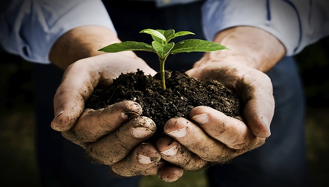 Cos’è e come funziona l’agricoltura biodinamica | Greenissimo.it Cos’è e come funziona l’agricoltura biodinamica | Greenissimo.it