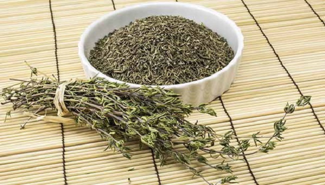 Timo: proprietà, benefici e utilizzi dell’erba aromatica | Greenissimo